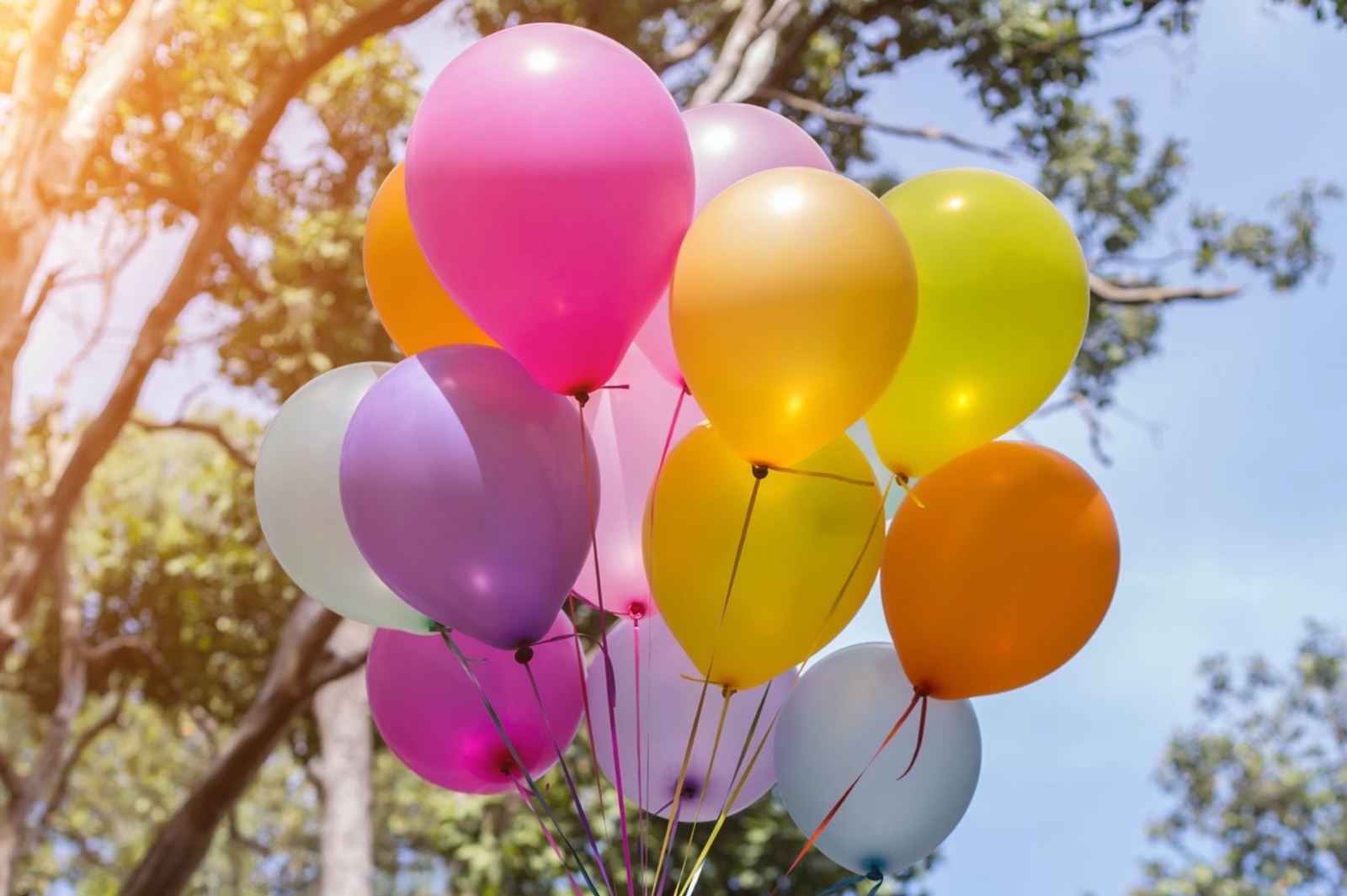 Sklep Balony Galeria Balony Wypuszczanie Balonów - Sklep balony